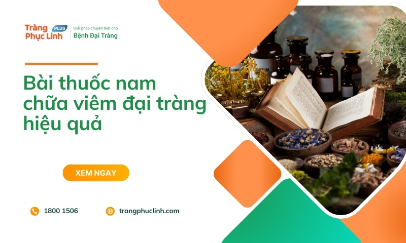 Xem chi tiết những bài thuốc nam chữa viêm đại tràng hiệu quả